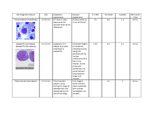 ROTC Midterm Examination Reviewer - Warning: TT: undefined function: 32 SUROTC Midterm ...