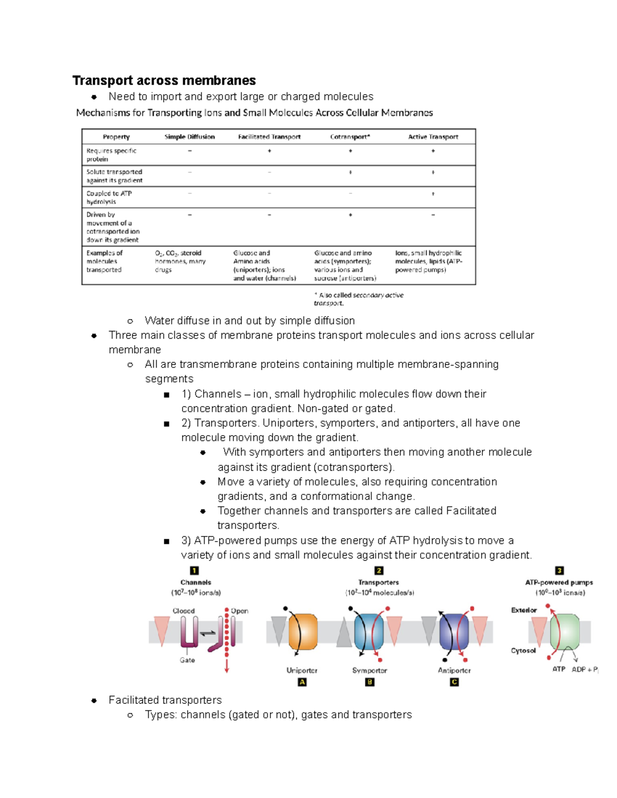 Cell Bio Week 10 - Cell Bio Lecture Notes - Transport across membranes ...
