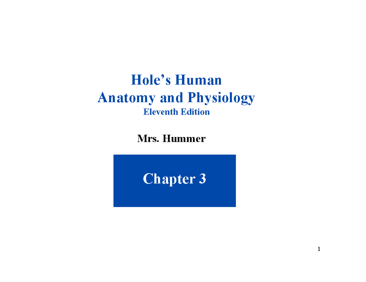 Bio II Ch 3 Notes - ... - Hole’s Human Anatomy and Physiology Eleventh ...