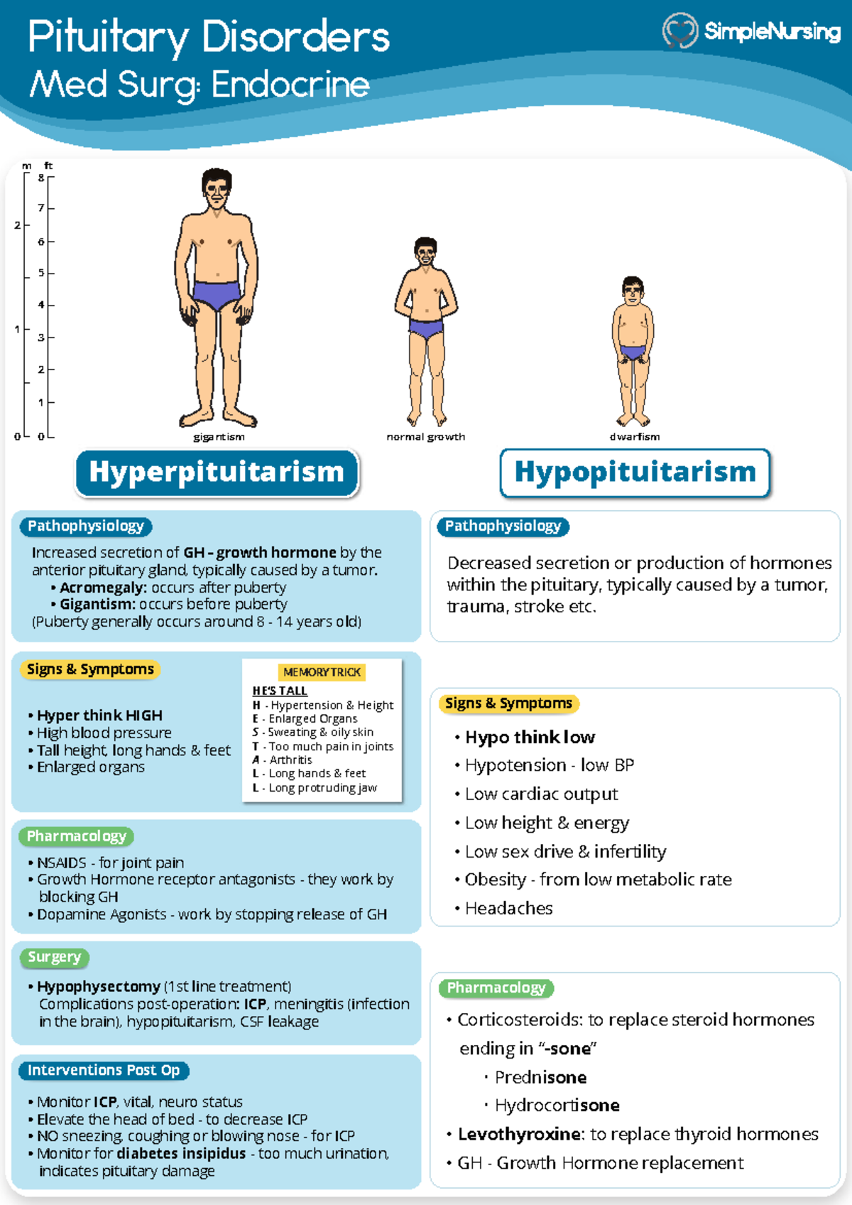 Pituitary Disorders - notes - Pituitary Disorders Med Surg: Endocrine 0 ...