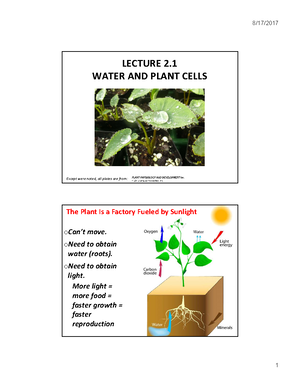 Lecture 1.3 notes - LECTURE 1. PLANT AND CELL ARCHITECTURE Except were ...