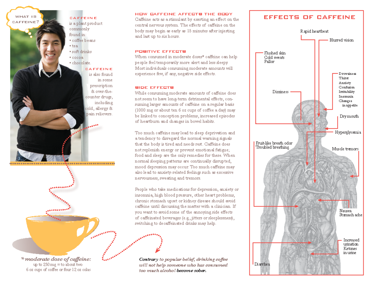 Caffeine - gggg - how caffeine affects the body Caffeine acts as a ...