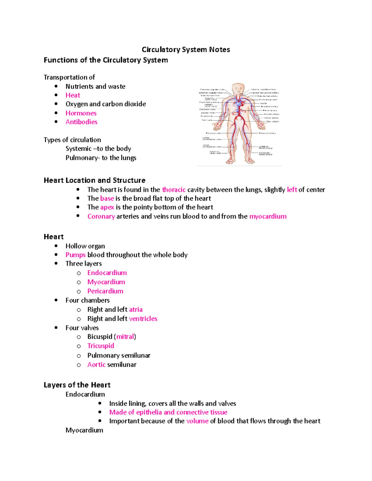 Circulatory System Notes - Circulatory System Notes Functions of the ...