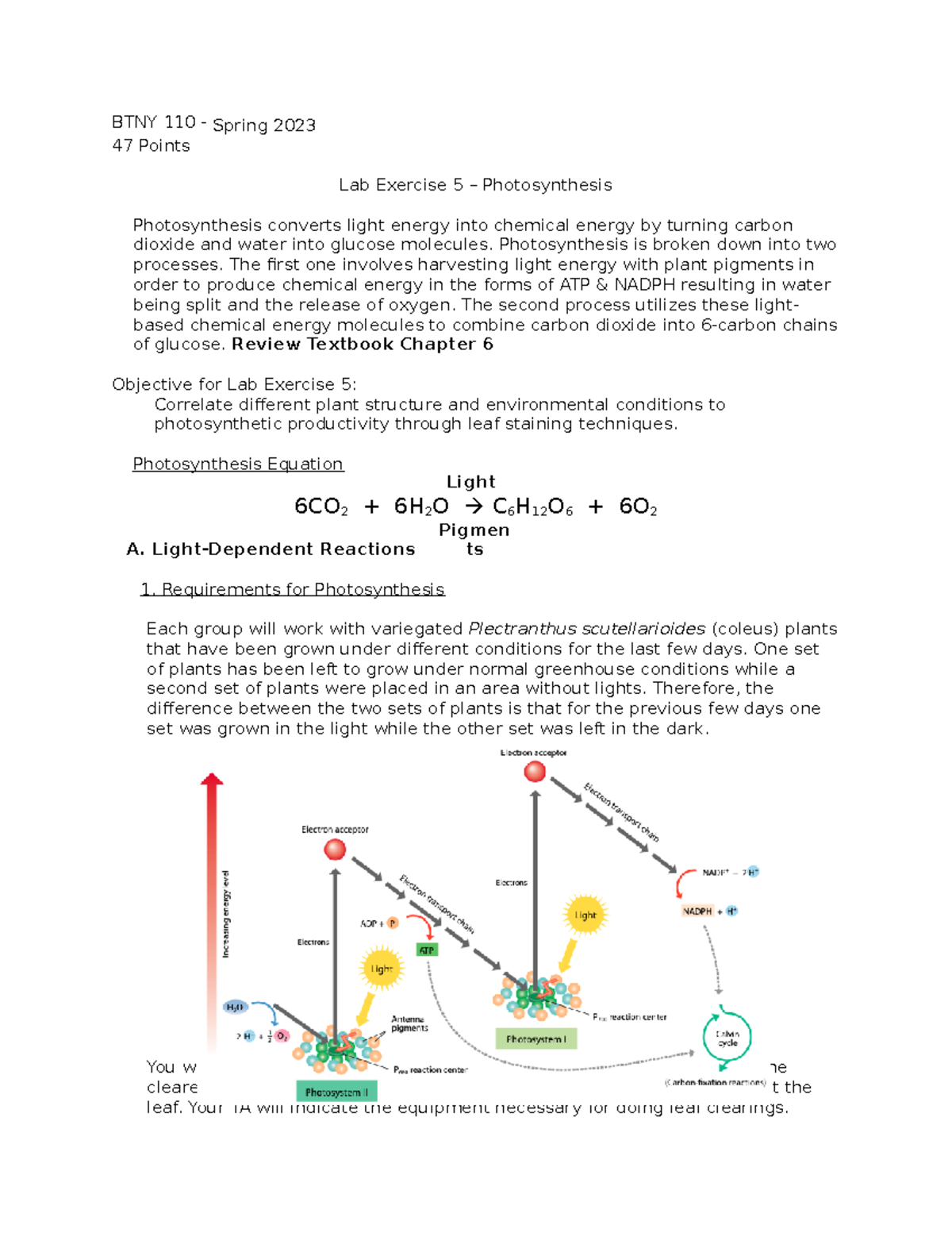 Lab 5-S23-Photosynthesis - BTNY 110 - Spring 2023 47 Points Lab ...