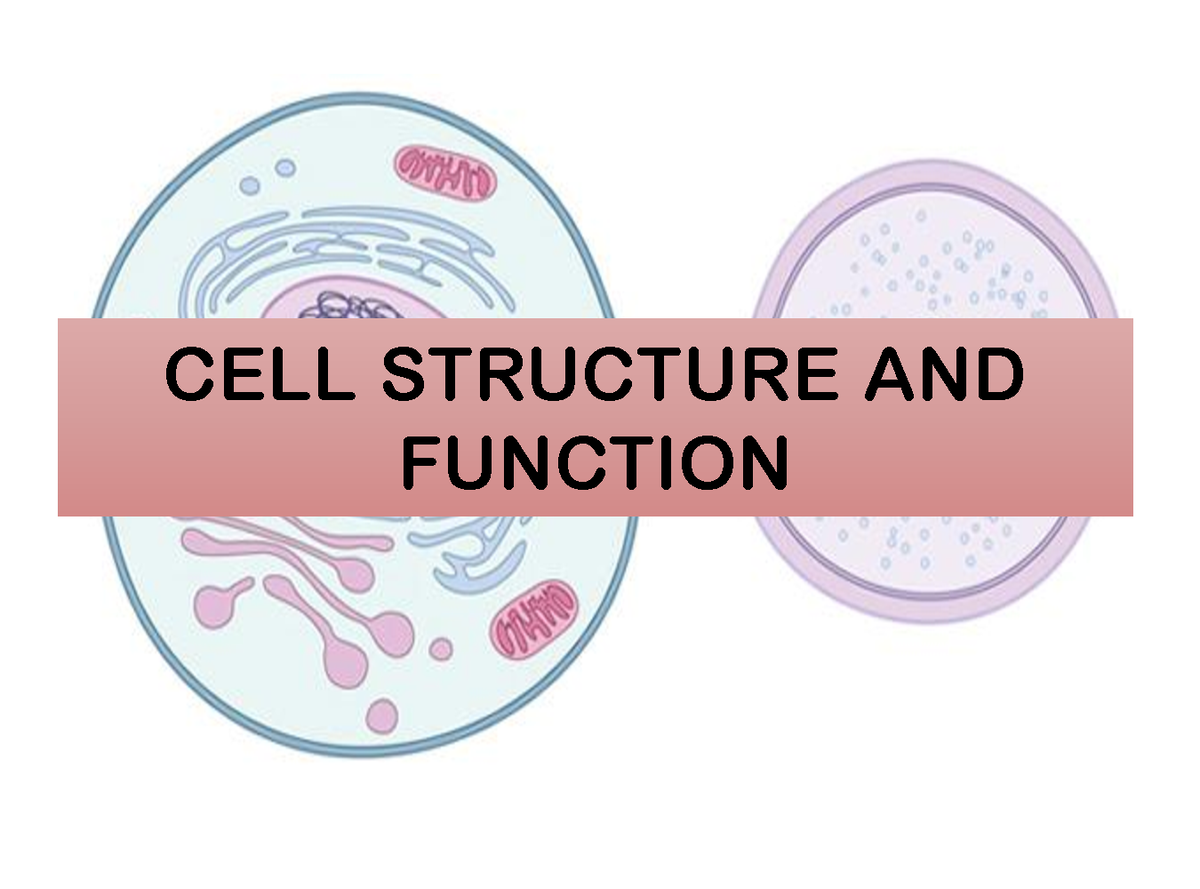 Module 1 Human Genetics- Variation AND CELL Division - CELL STRUCTURE ...