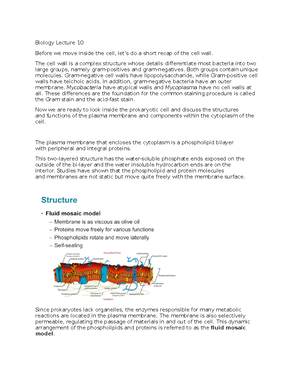 Macromolecules Overview - Macromolecules Intro -monomers from food used ...