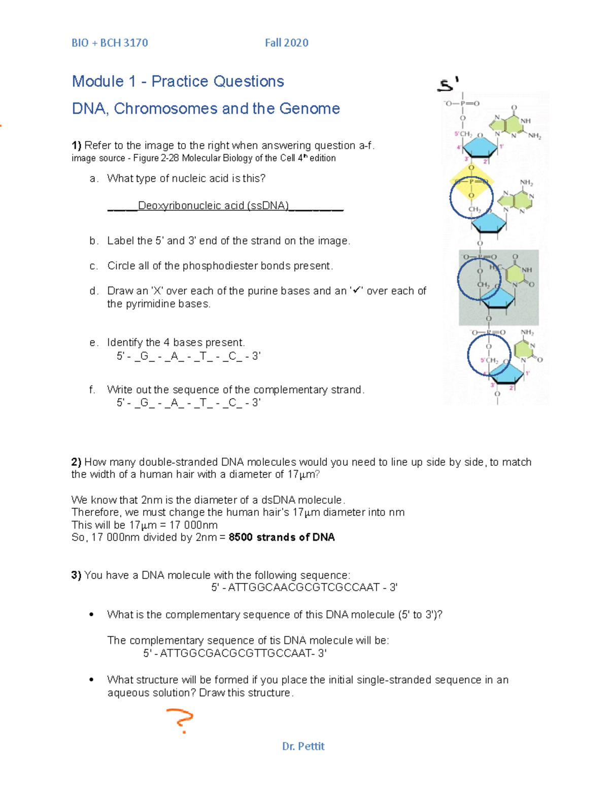 Module 1 Practice Problem Set 1 Module 1 Practice Questions Dna