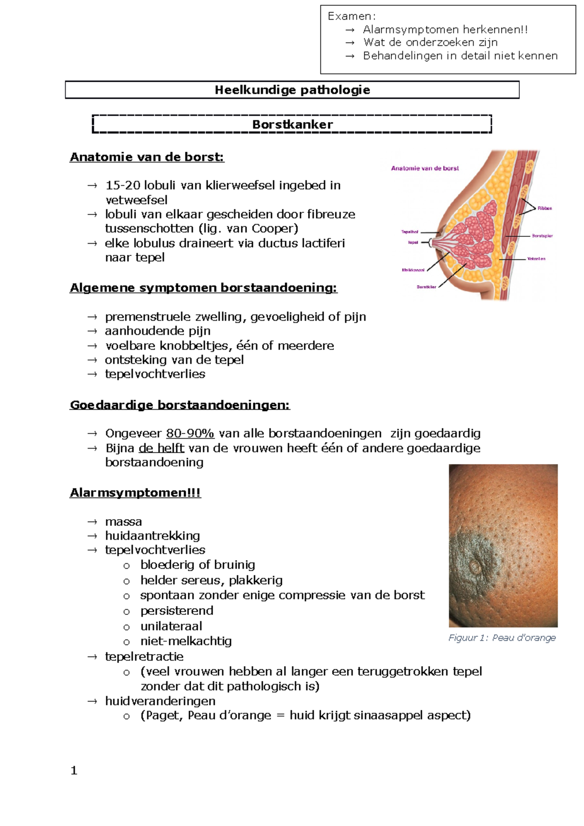Med Wet samenvatting - Heelkundige pathologie Borstkanker Anatomie van ...