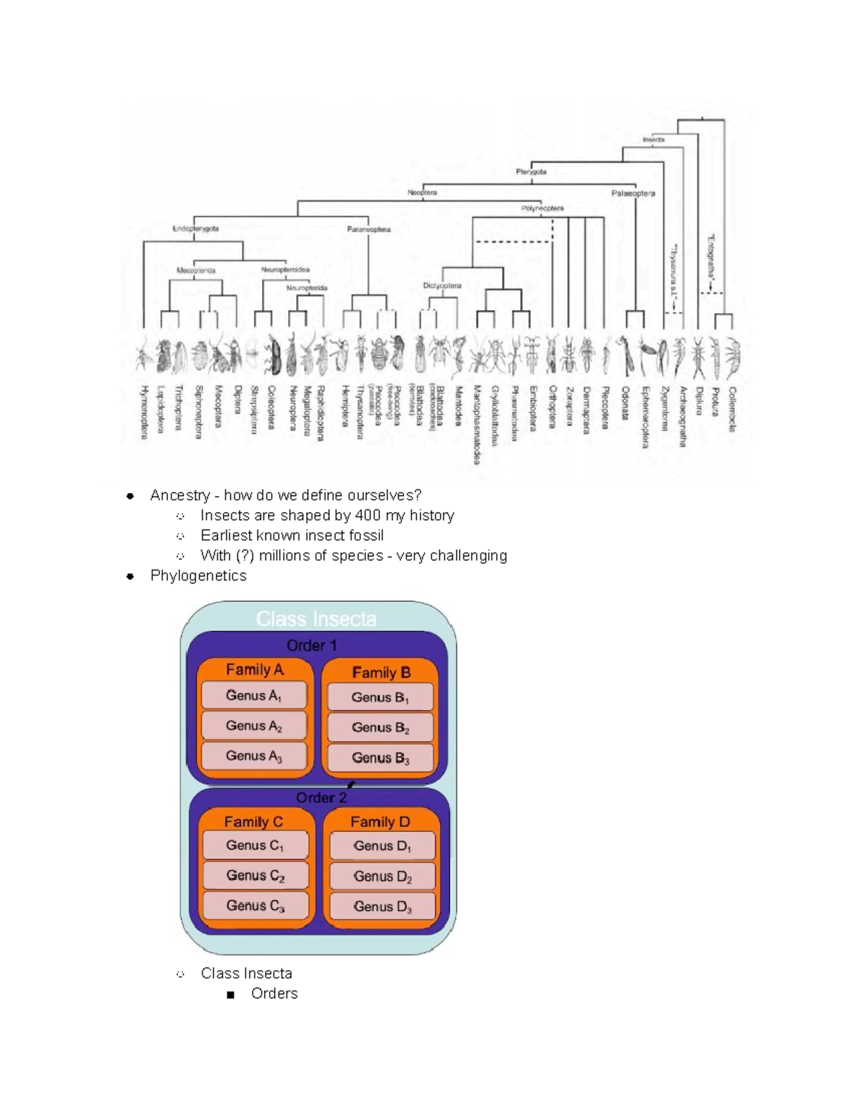 3 17 Tree thinking - mono para polyphyletic, nodes, sister groups ...
