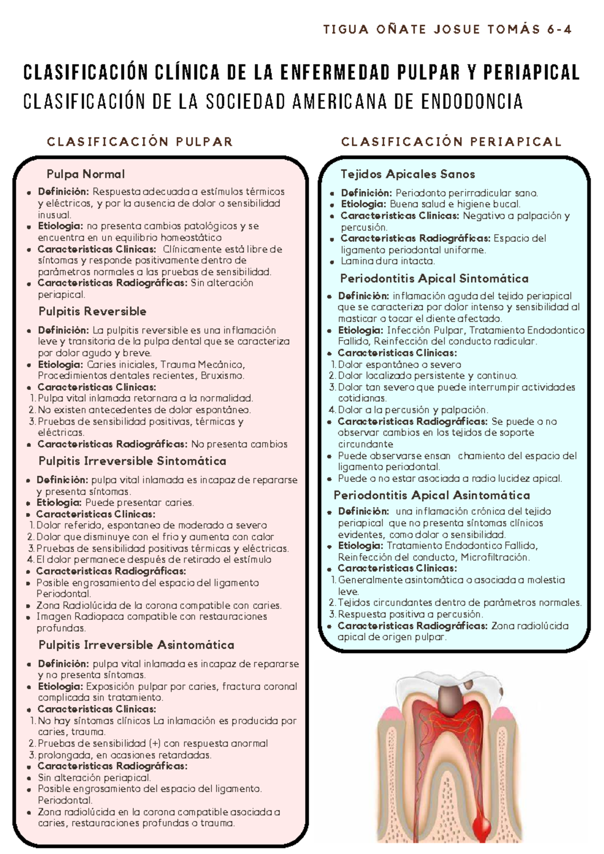 Infografía 6 Endodoncia - C L A S I F I C A C I Ó N P U L P A R ...
