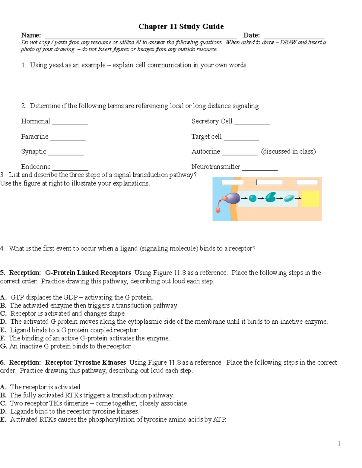 Chapter 11 Study Guide F23 - Chapter 11 Study Guide Name: - Studocu