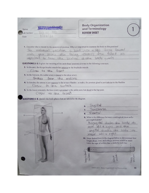 Final Exam Review - Bio 121: Anatomy and Physiology Final Exam Review ...