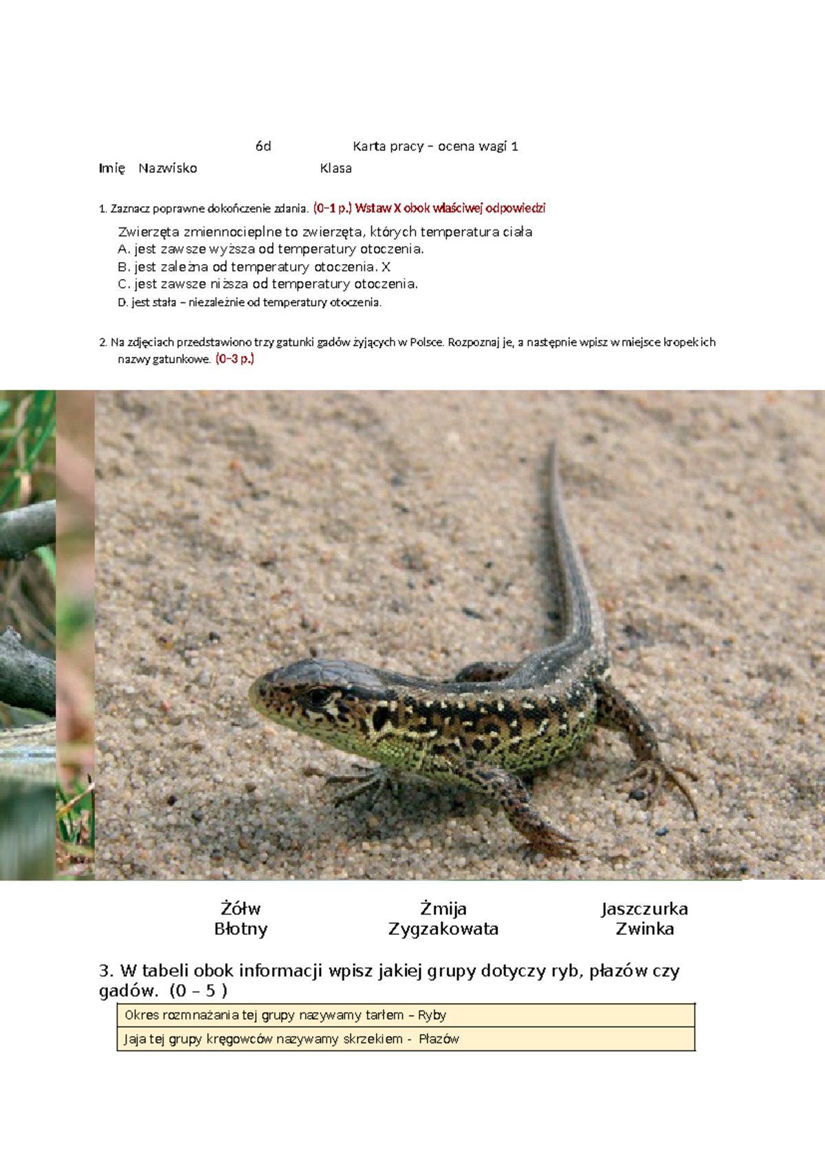 3 gady - płazy karta pracy done - 6d Karta pracy – ocena wagi 1 Imię ...