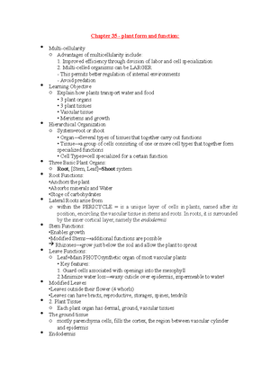 Chapter 10 Study guide Open Stax Biology 2e - Chapter 10 Study Guide ...