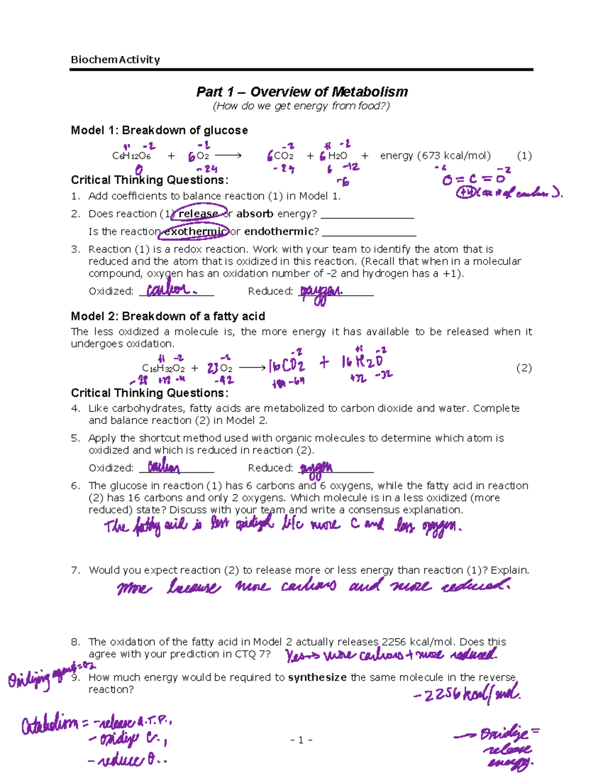 Metabolism Overview - BiochemActivity Part 1 – Overview of Metabolism ...