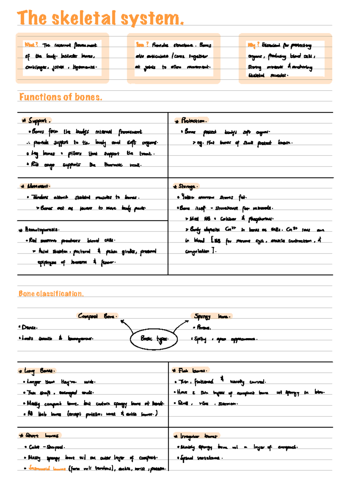 Chapter 5 - Skeletal system - PHSL3006 - The skeletal system. Functions ...