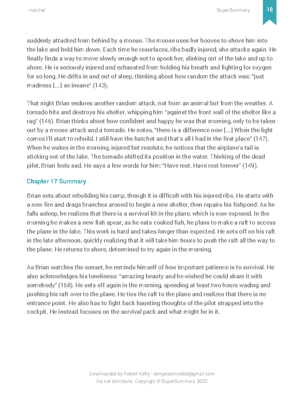 Hatchet - Super Summary Study Guide 19 - suddenly attacked from behind ...