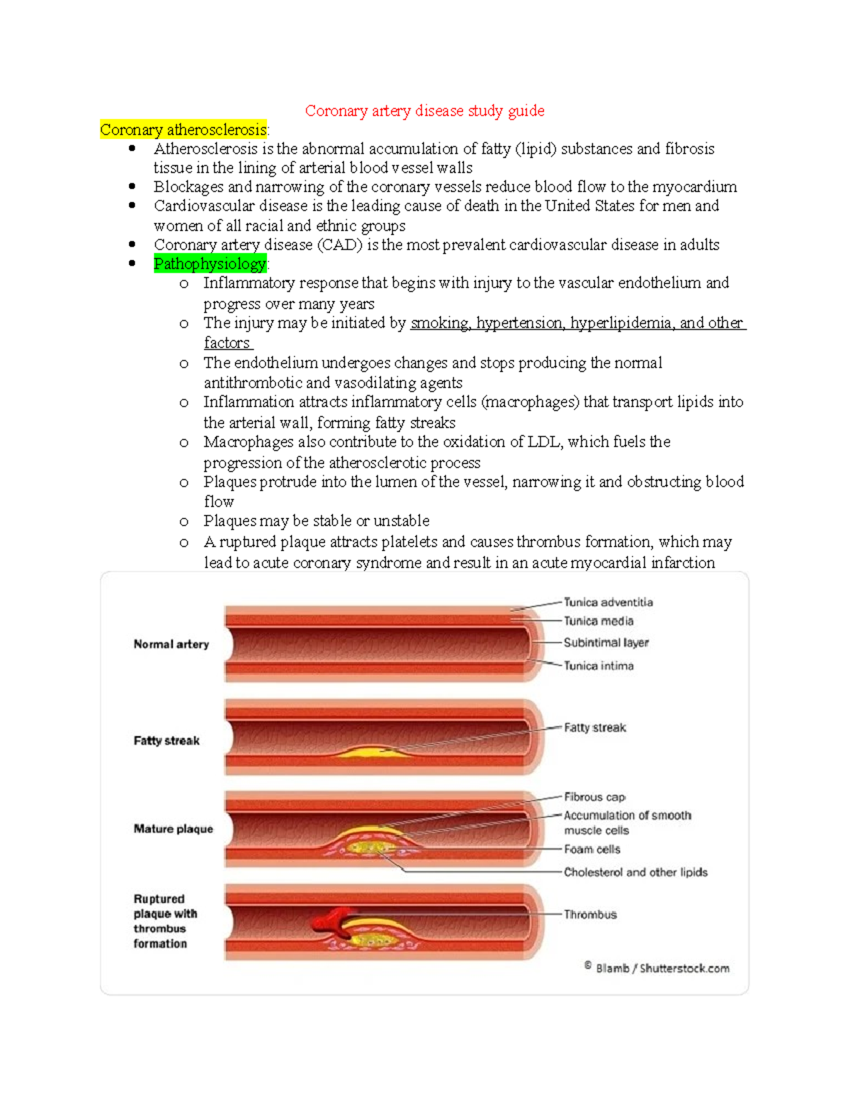 Coronary artery disease study guide (240) - Coronary artery disease ...