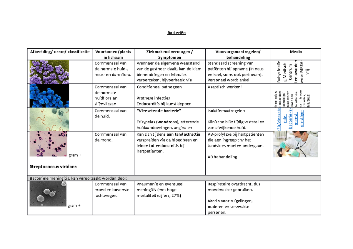 Classificatie bacteriën 2324 - Bacteriën Afbeelding/ naam ...