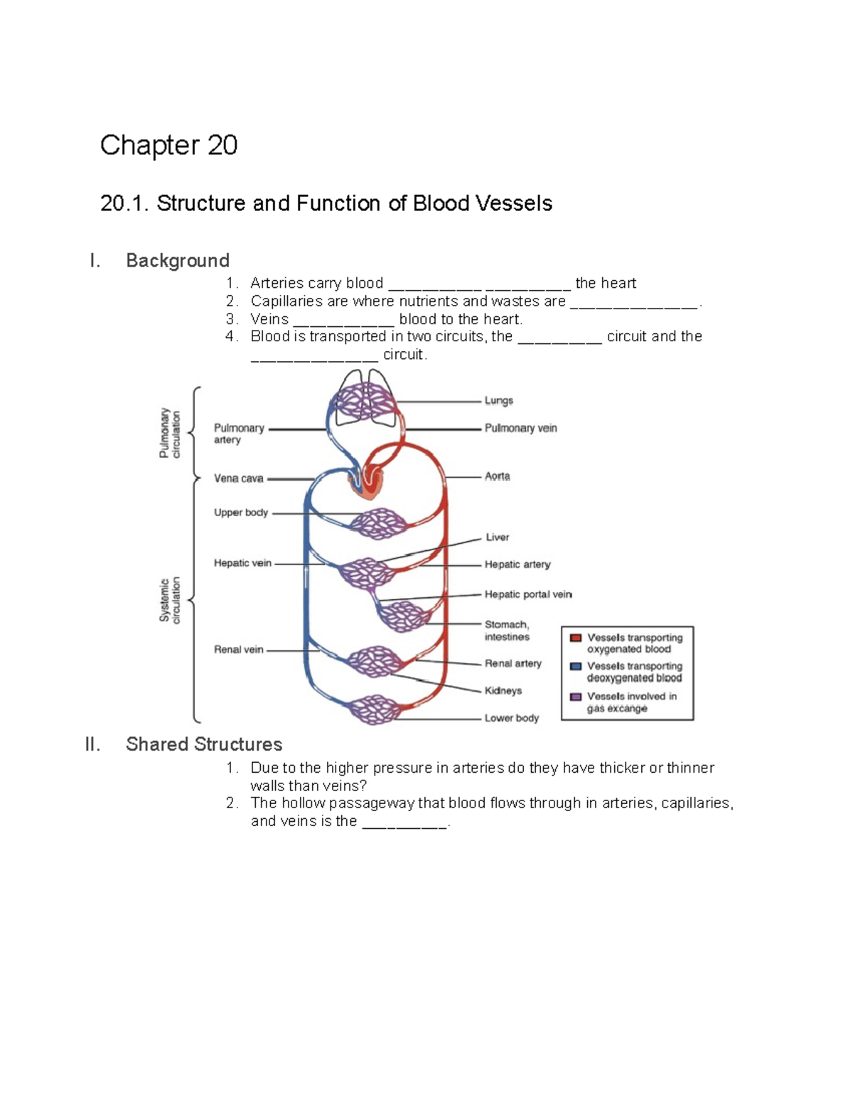 Chapter 20 Guided notes and study guide - Chapter 20 20. Structure and ...