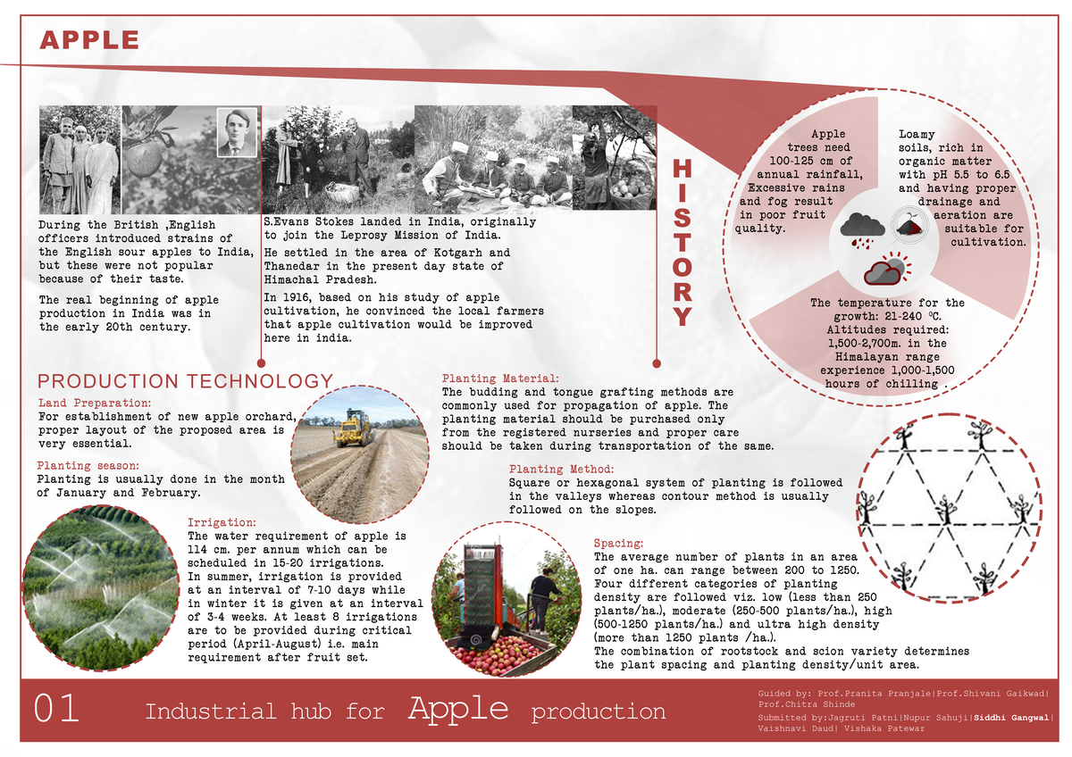 Apple 1st sheet introduction - Apparel Production - Studocu