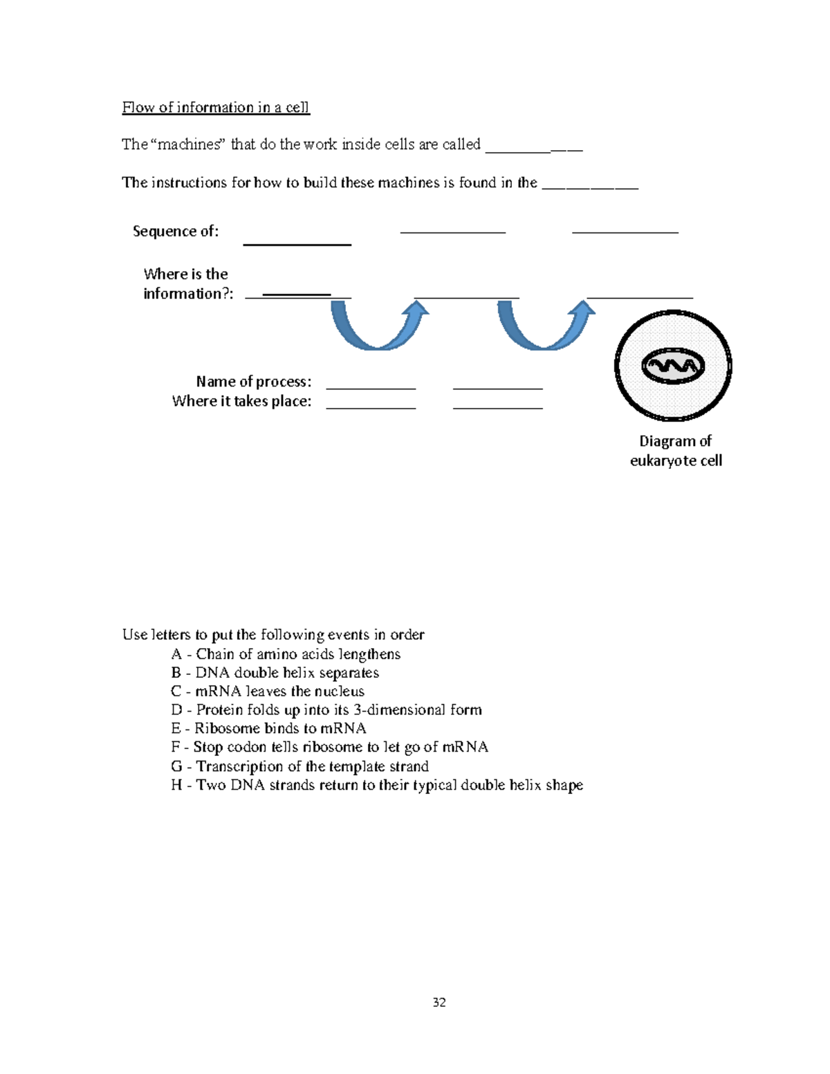 SCI1210 - Central Dogma Activity - Flow of information in a cell The ...