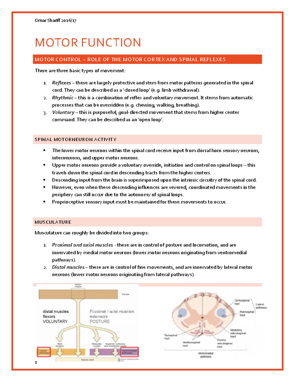 Motor Function - BAB Notes - MOTOR FUNCTION MOTOR CONTROL – ROLE OF THE ...