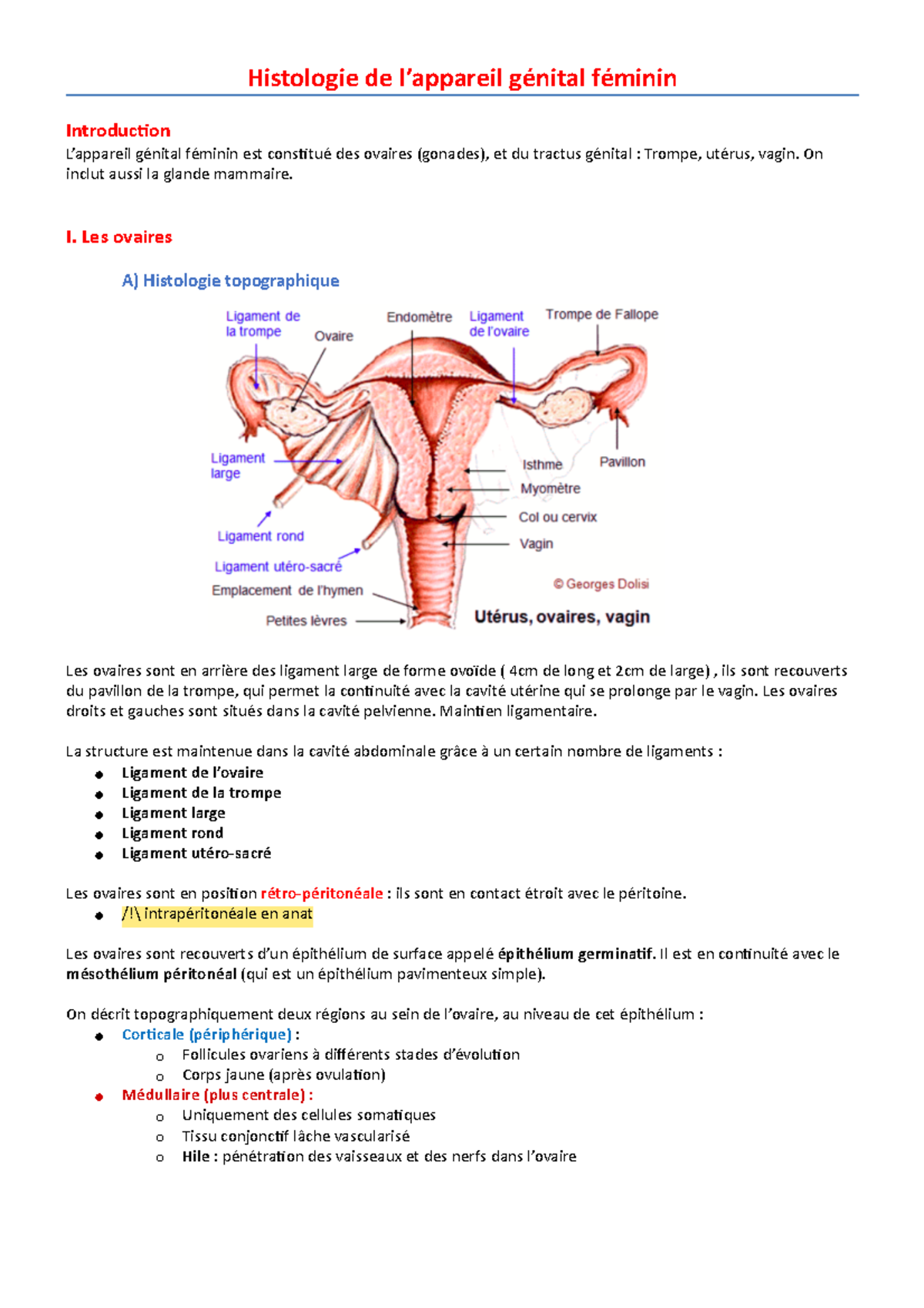 Histologie de l’appareil génital féminin - Histologie de l9appareil ...
