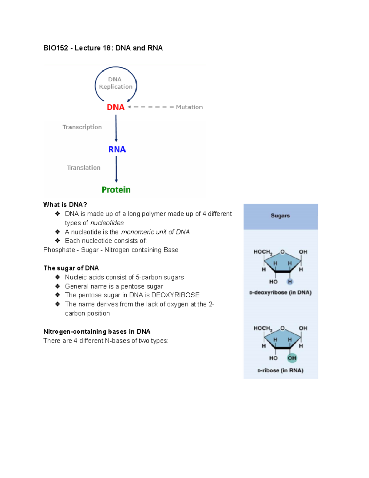BIO152 - Lecture 16 DNA and RNA - BIO152 - Lecture 18: DNA and RNA What ...