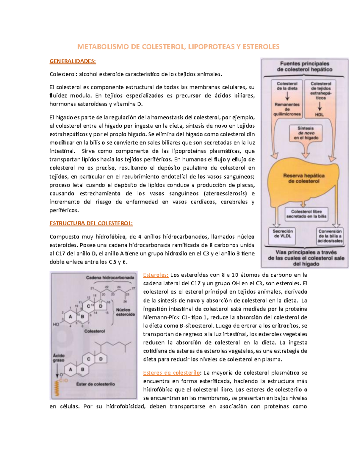 Metabolismo del Colesterol resumen - METABOLISMO DE COLESTEROL, LIPOPROTEAS Y ESTEROLES - Studocu