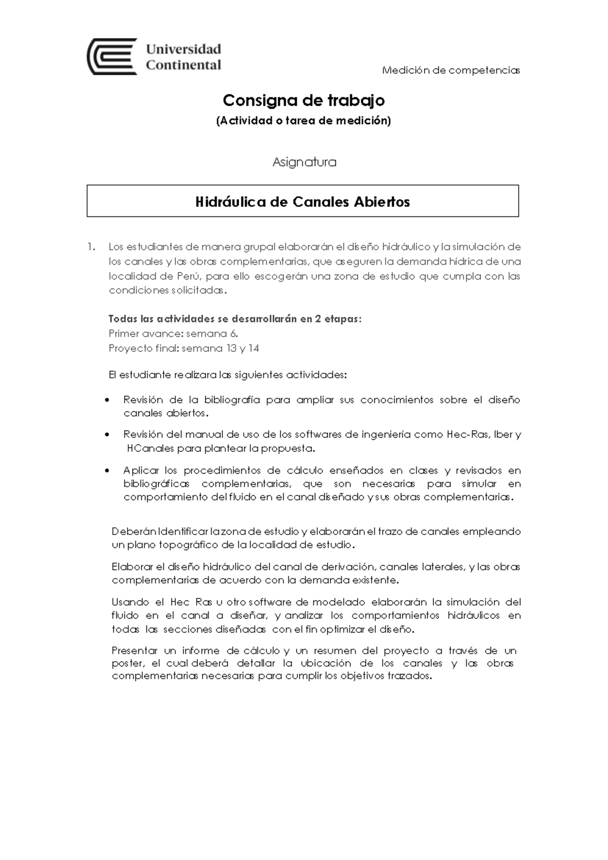 Consigna - Medición de competencias Consigna de trabajo (Actividad o tarea de medición ...