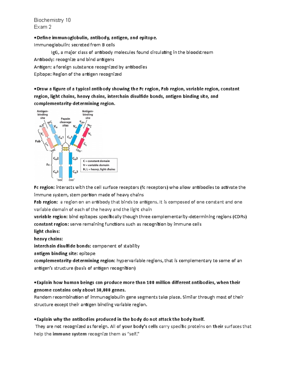 BIOC10 Antibodies - Lecture notes 10 - Biochemistry 10 Exam 2 •Define ...