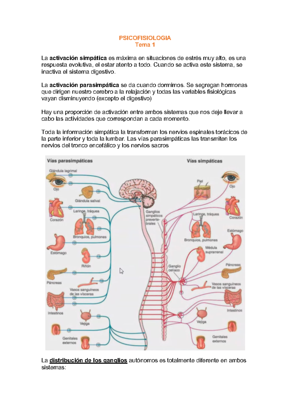Psicofisiologia Final - PSICOFISIOLOGIA Tema 1 La activación simpática ...