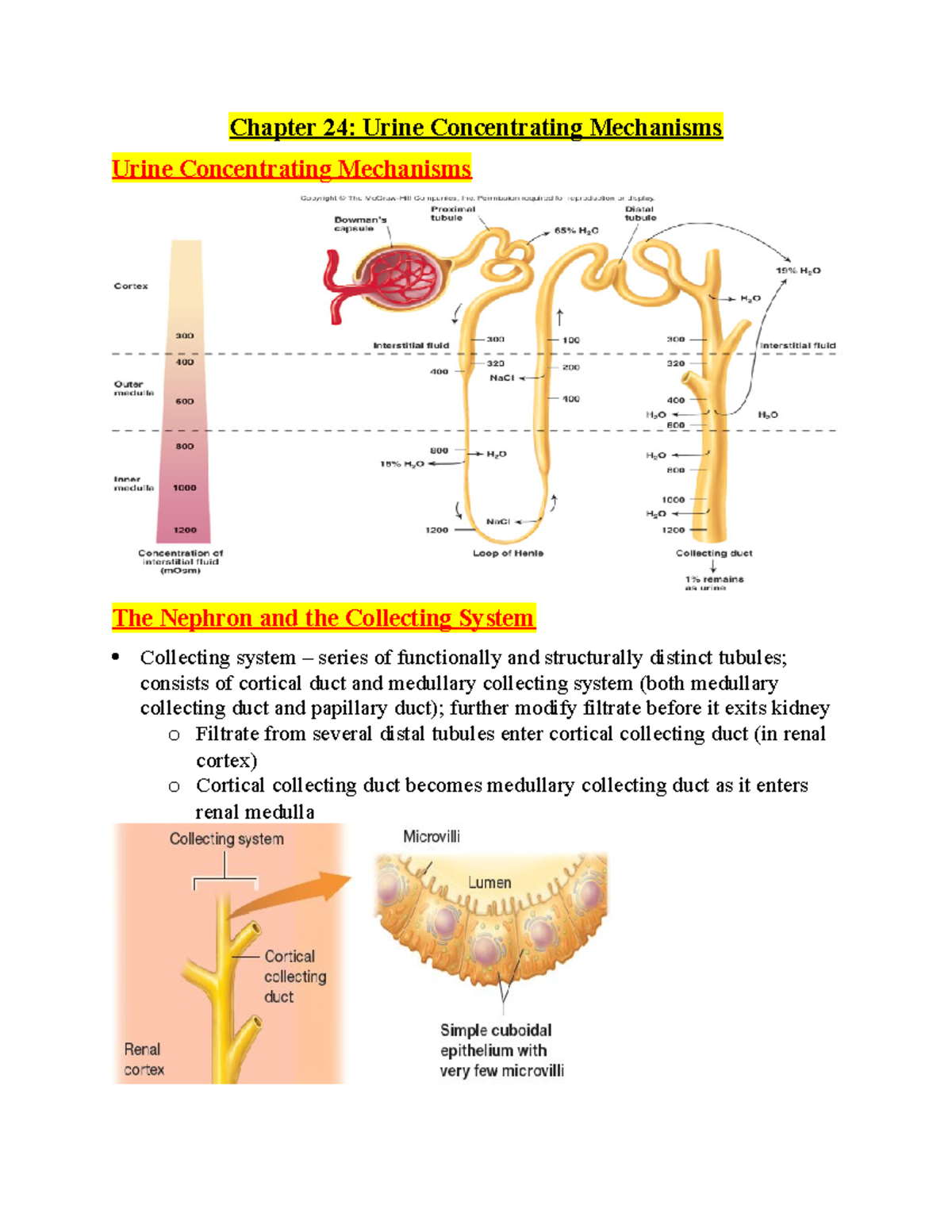 Chapter 24 37 - Mr. Aguilar Class - Chapter 24: Urine Concentrating ...
