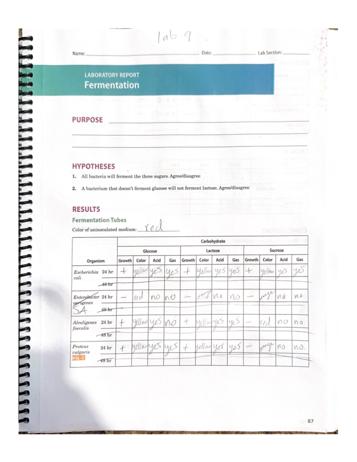 Lab 9 Data - Lab 9 - MCB 3020C - Studocu