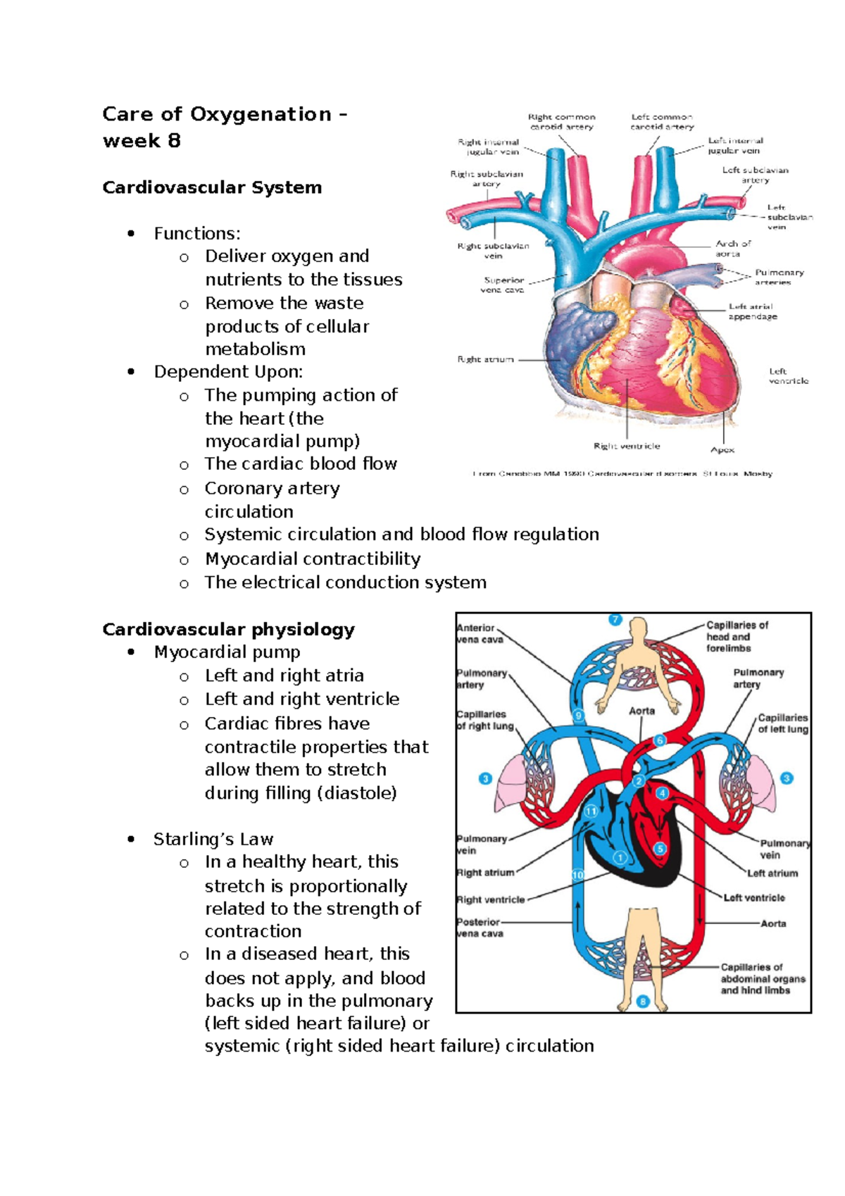 Week 8 - NPU - na - Care of Oxygenation – week 8 Cardiovascular System ...
