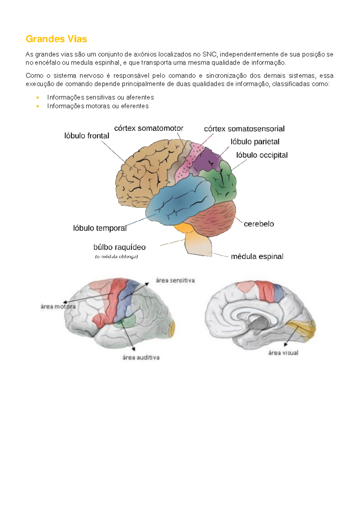 VIAS Aferentes - Resumo elaborado a partir de aulas e palestras com ...