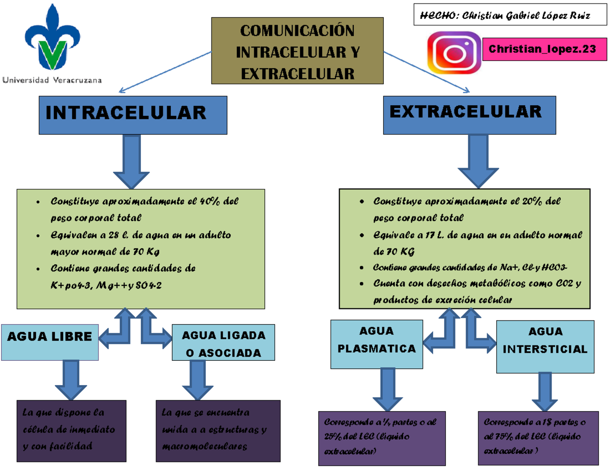 Comunicacion intracelular y extracelular - COMUNICACI”N INTRACELULAR Y ... Comunicacion intracelular y extracelular - COMUNICACI”N INTRACELULAR Y ...