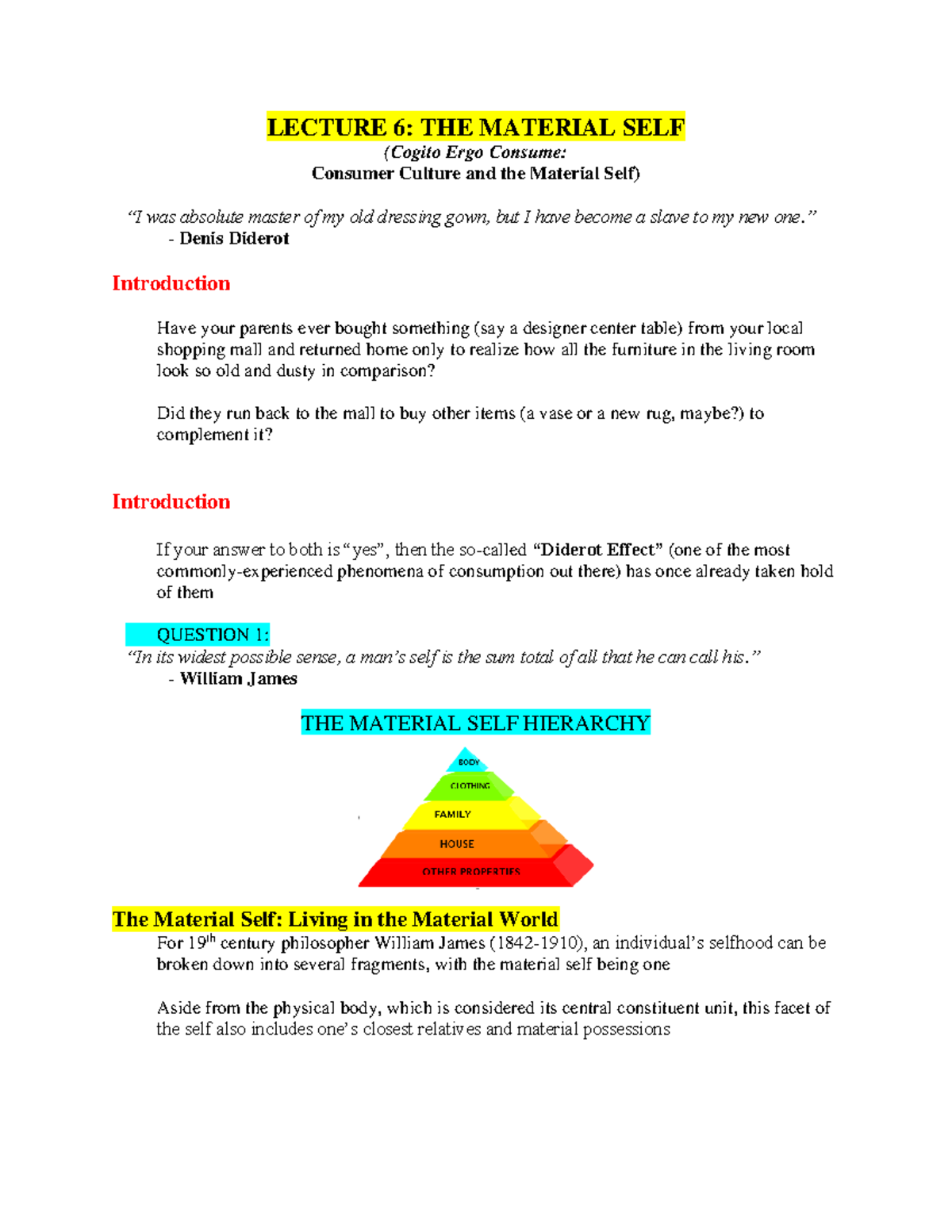 THE- Material-SELF - Lecture notes - LECTURE 6: THE MATERIAL SELF ...