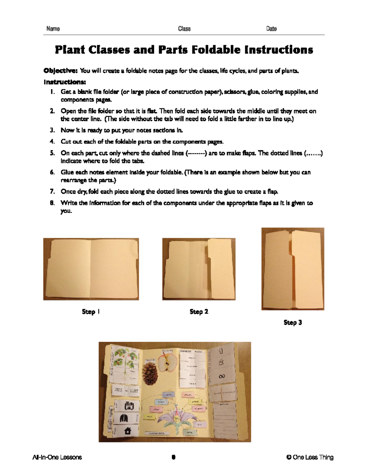 Plant Classes and Parts Foldable Instructions - Studocu