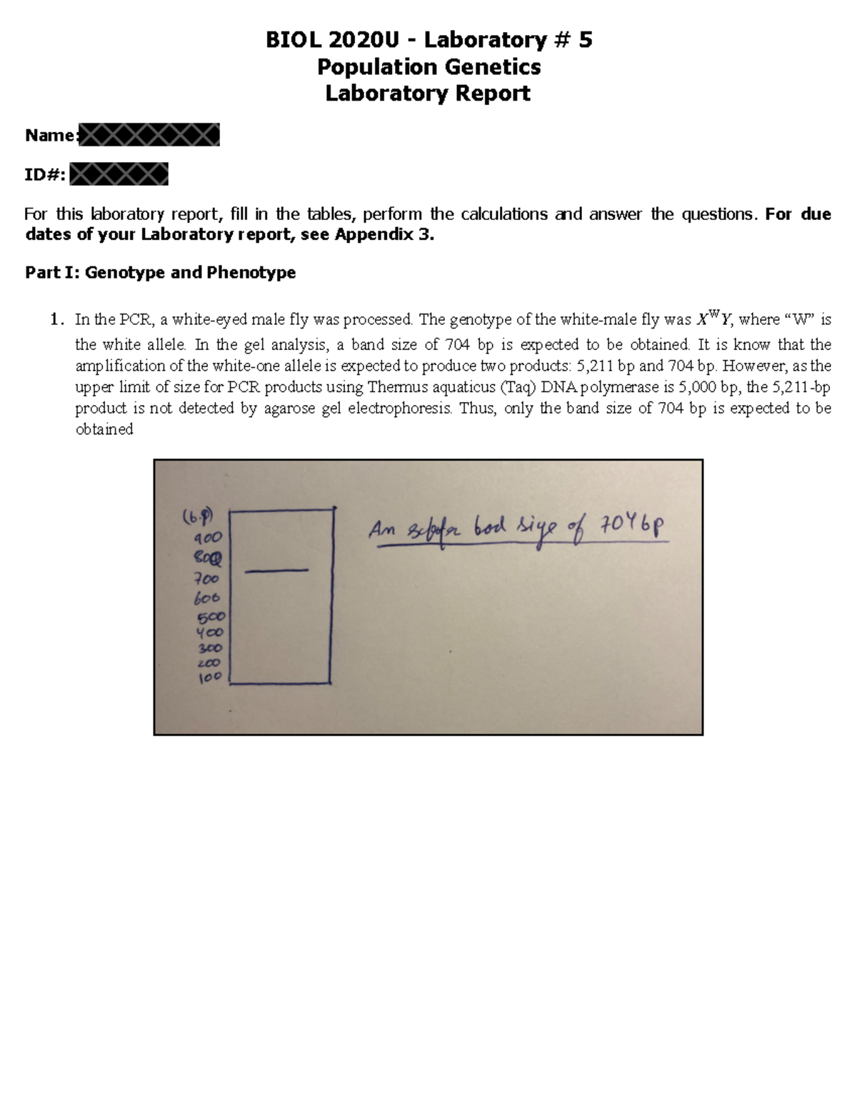 Genetics Lab 5 - lab 5 answers - BIOL 2020U - Laboratory # 5 Population ...