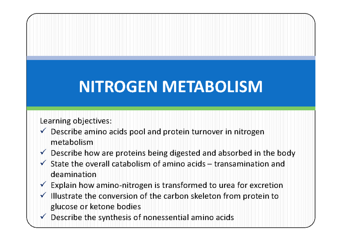 Nitrogen Metabolism (Biochemistry) - NITROGEN METABOLISM Learning ...