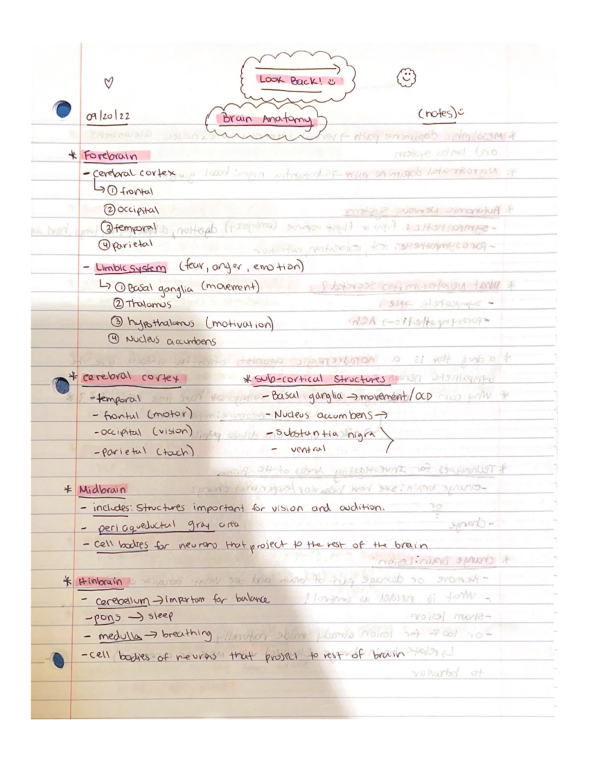 Biopsychology Chapter 1 2 Notes Vv Oa A Gel Rr Do 9 R Fordomin Voleve Oidrwil Arvo Cevelowl 1