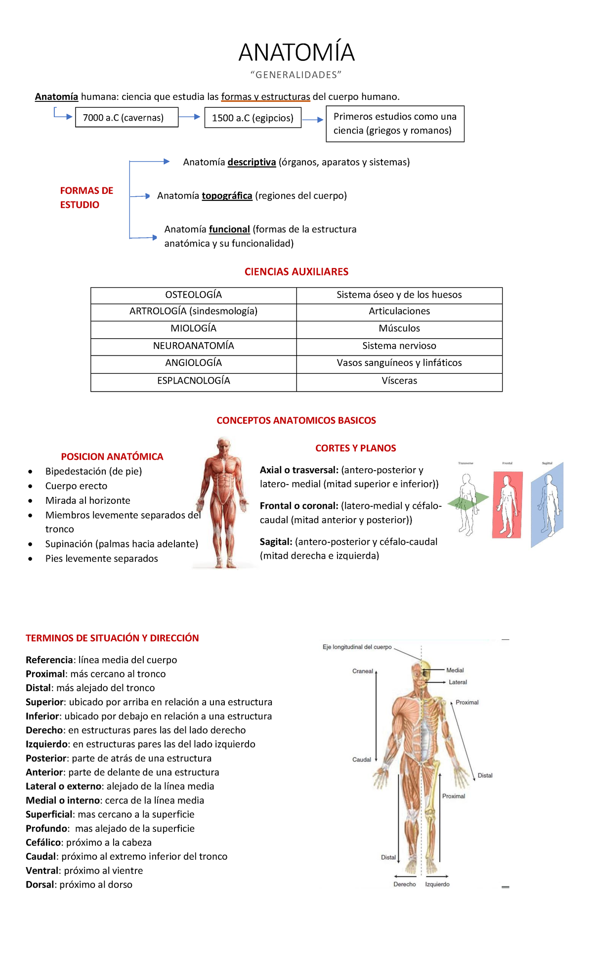 Anatomía resumen completo - ANATOMÍA “GENERALIDADES” Anatomía humana ...