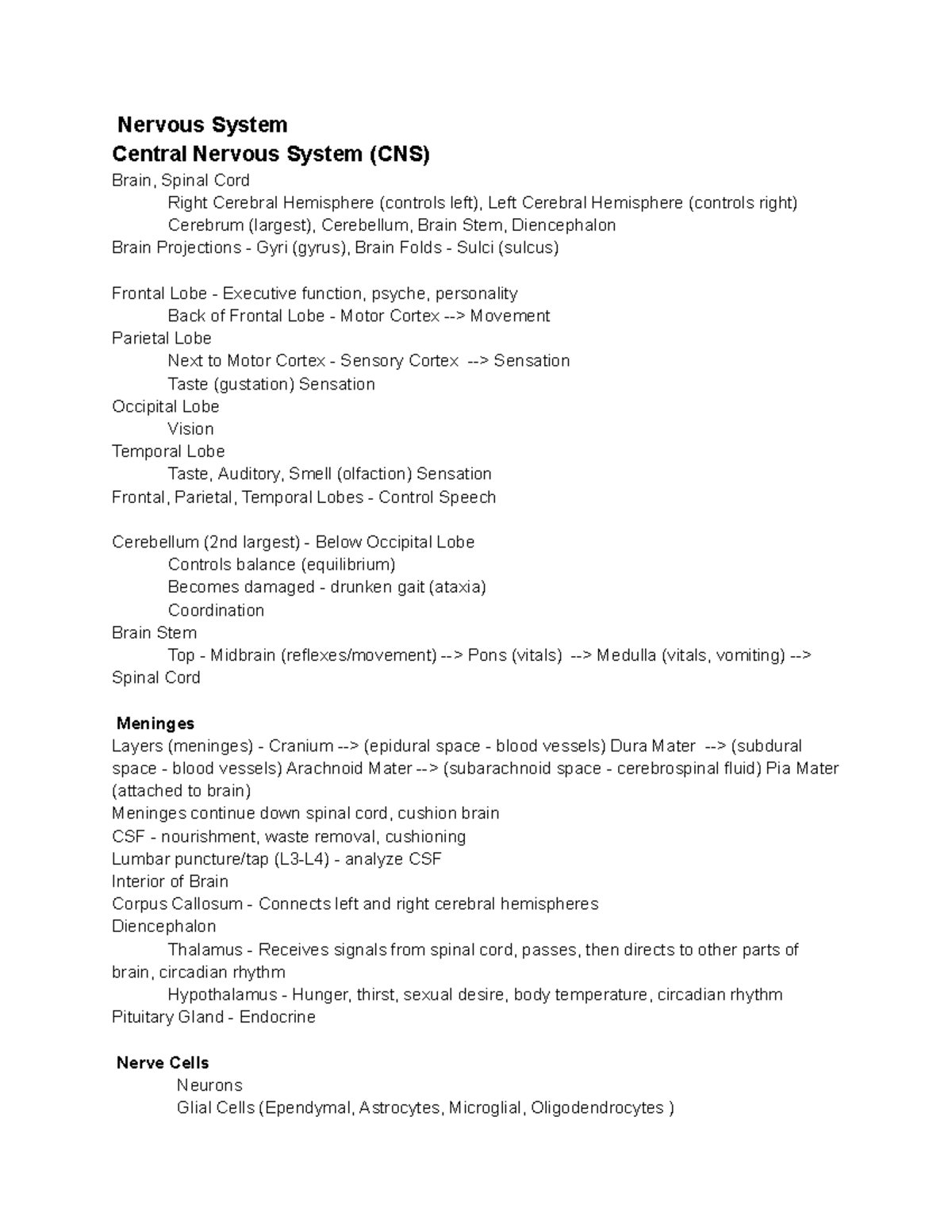 Nervous System - Studocu