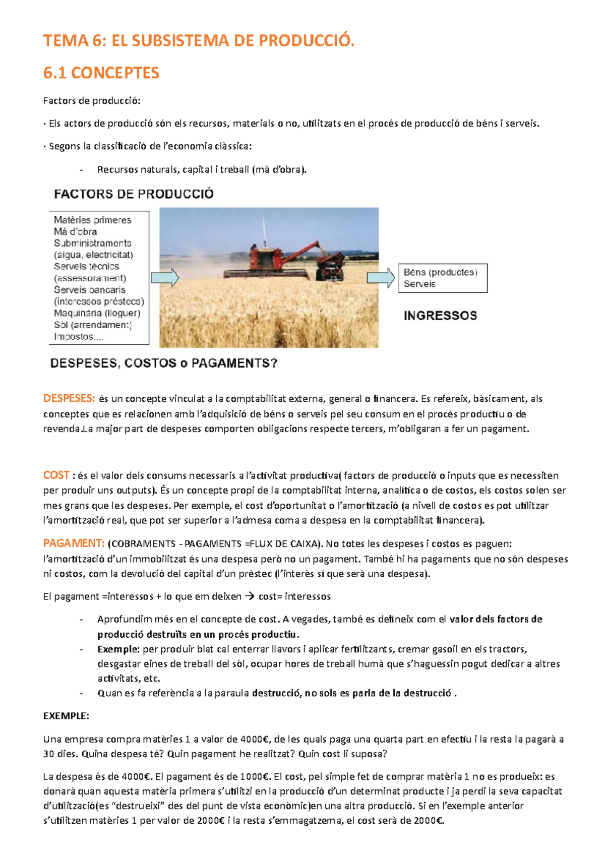TEMA 6 EL SUBSISTEMA DE PRODUCCIÓ 2021 acabat - TEMA 6: EL SUBSISTEMA ...