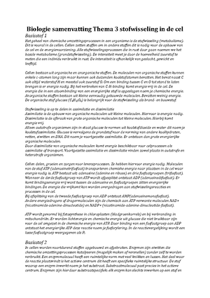 Onderzoeken - C= hartfilmpje Rontgenfoto= foto X-thorax= longfoto ...