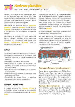 Termos Anatômicos - Roteiro 1 - Introdução ao Estudo da Medicina ...