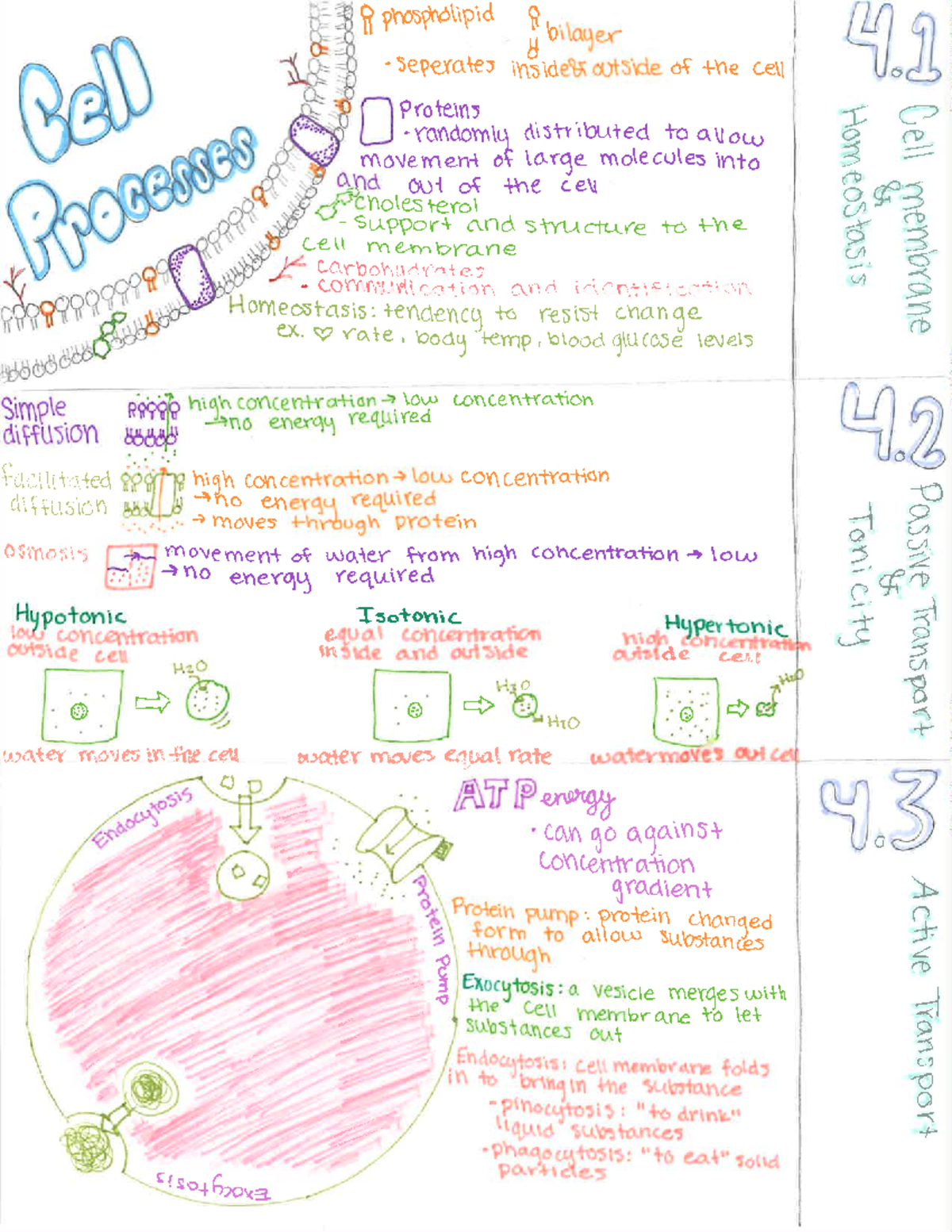 Algebra Notes for 9th grade - Studocu