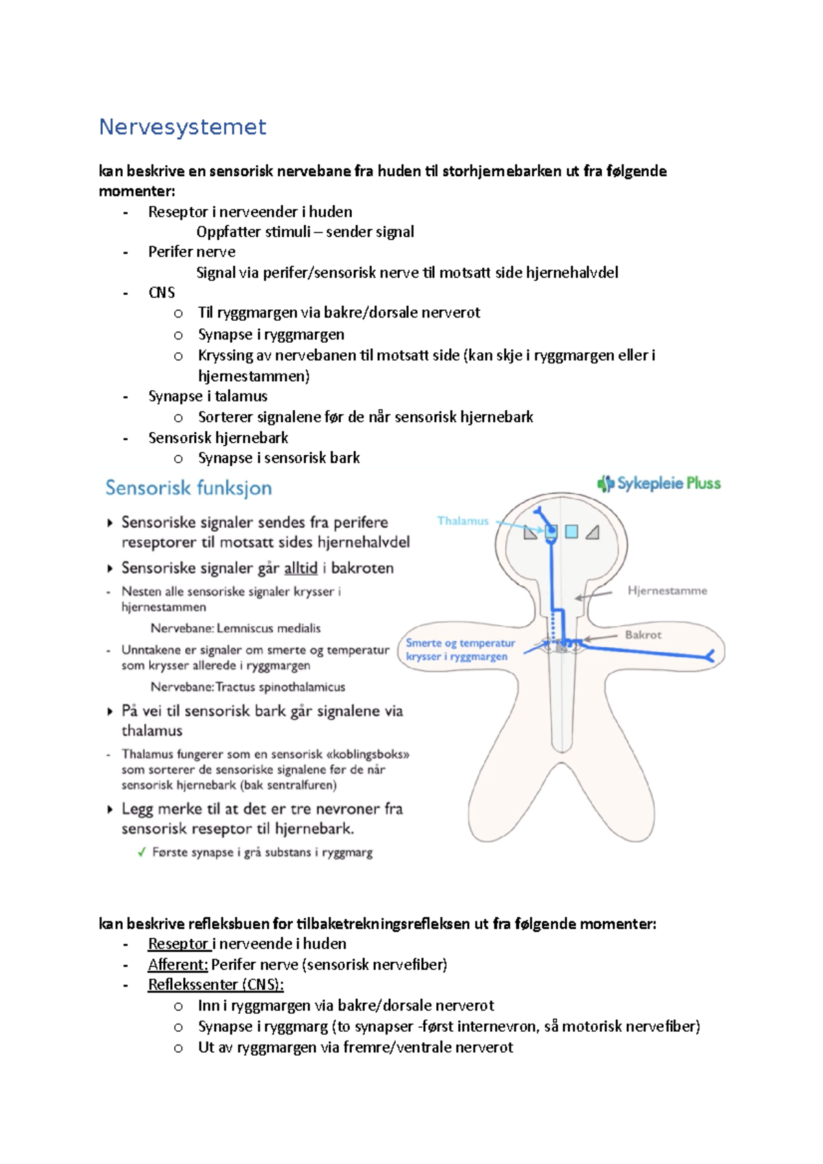 Nervesystemet 2 - Nervesystemet kan beskrive en sensorisk nervebane fra ...